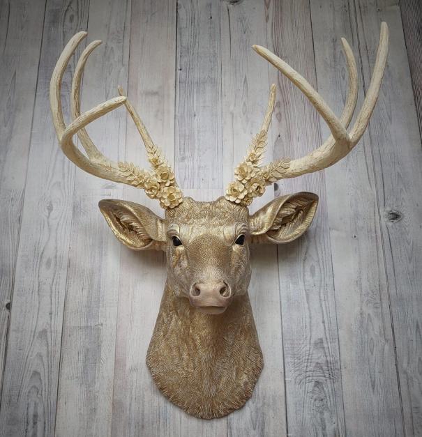 Colorful Cast and Crew