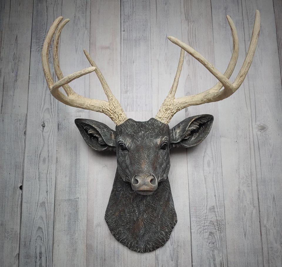 Mounted Buck Head