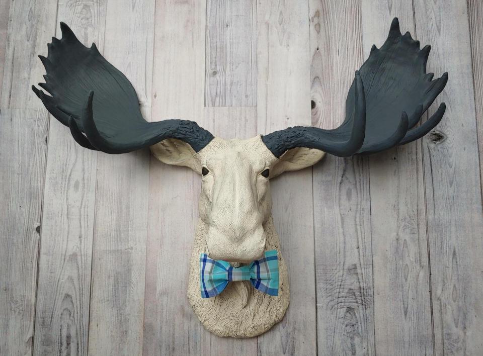 Colorful Cast and Crew